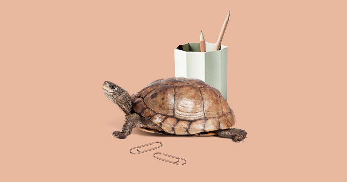 Stockspot | Tiny Hunter